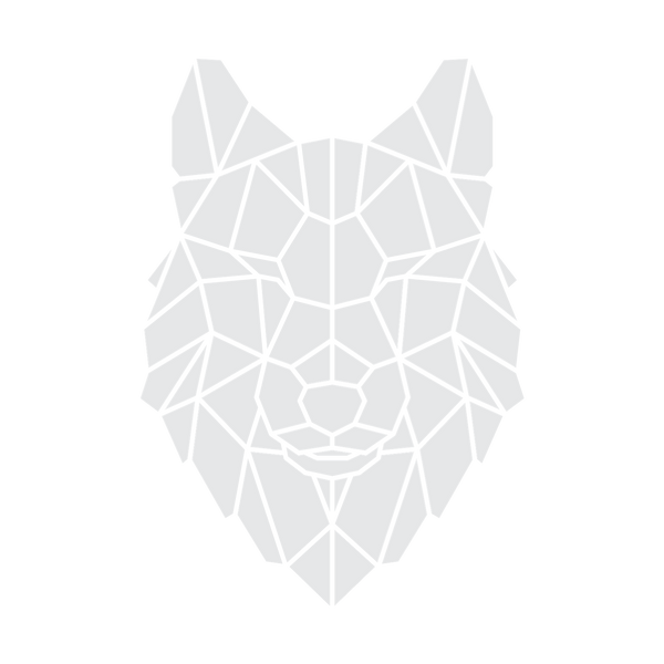 The Successful Man Journal